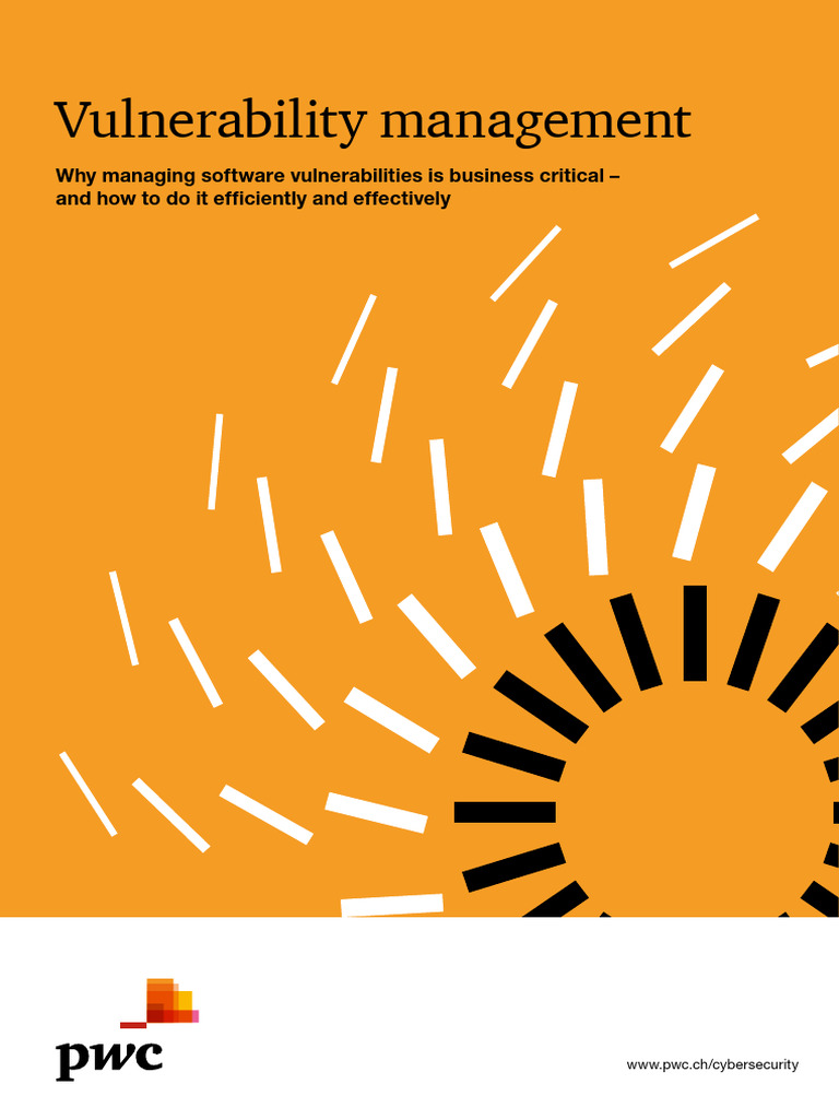 Vulnerability Management | PDF