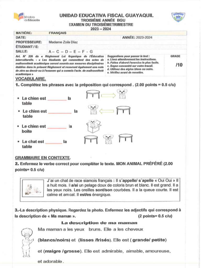 Examen de Francés 3TR | PDF