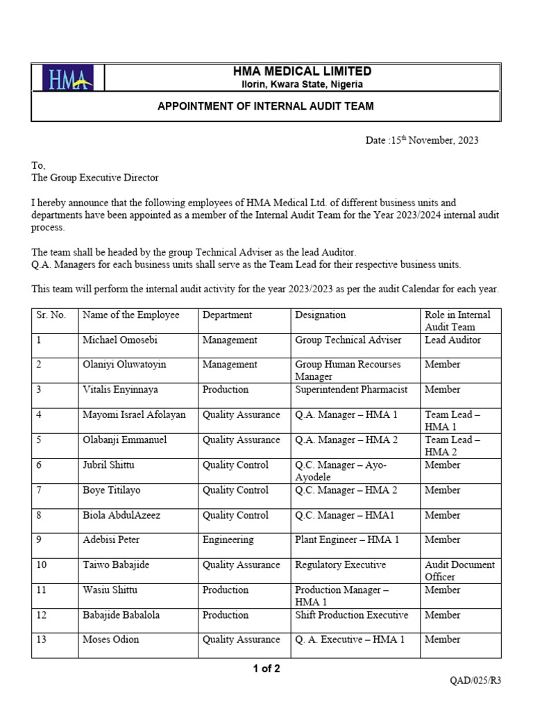 Internal Audit Team | PDF