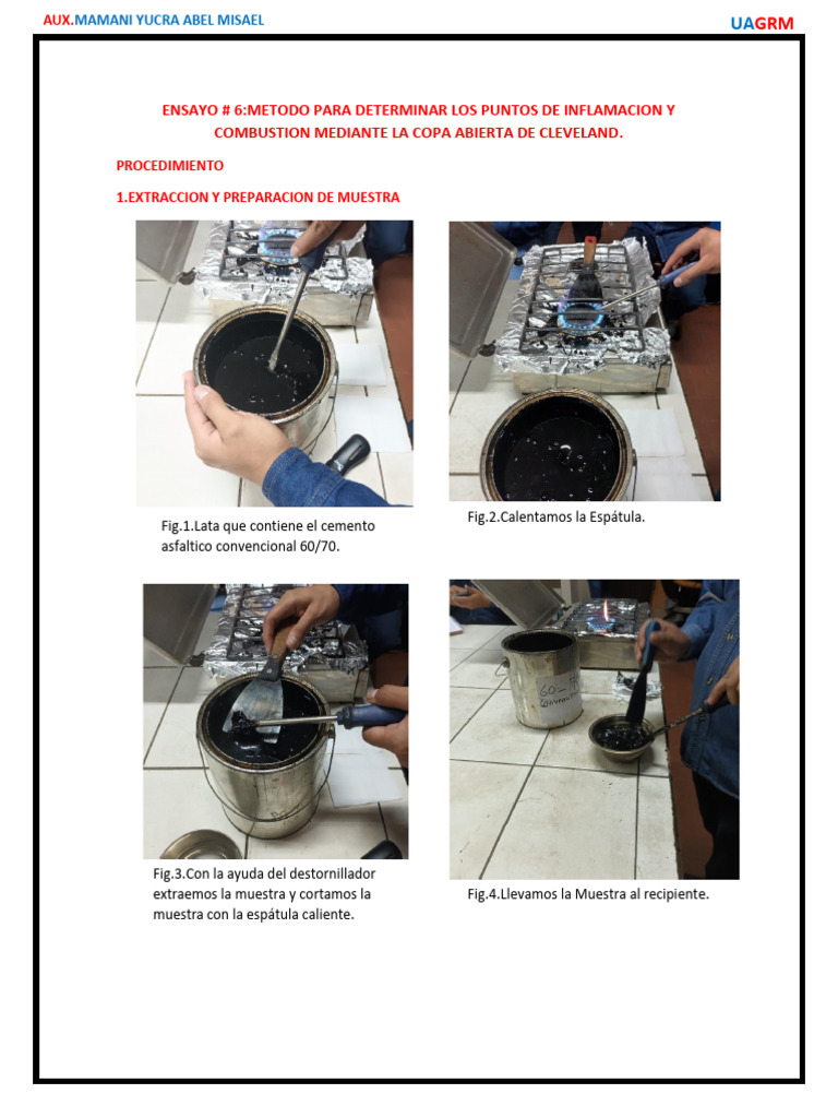 Ensayo #6 Punto de Inflamacion y Combustion | PDF