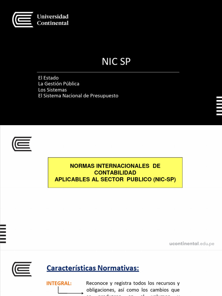 NICSP | PDF