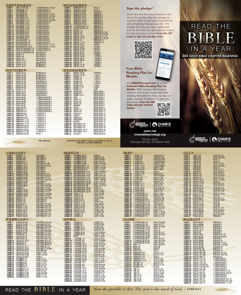 Bible Reading Plan | PDF
