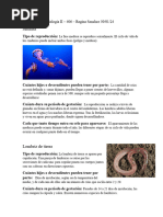 Focas Bebés | PDF | Pinnípedo | Hembra