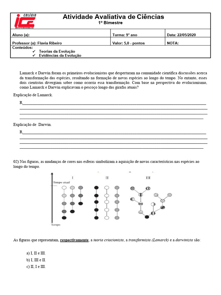 9Â° Ano - Prova Avaliativa | PDF