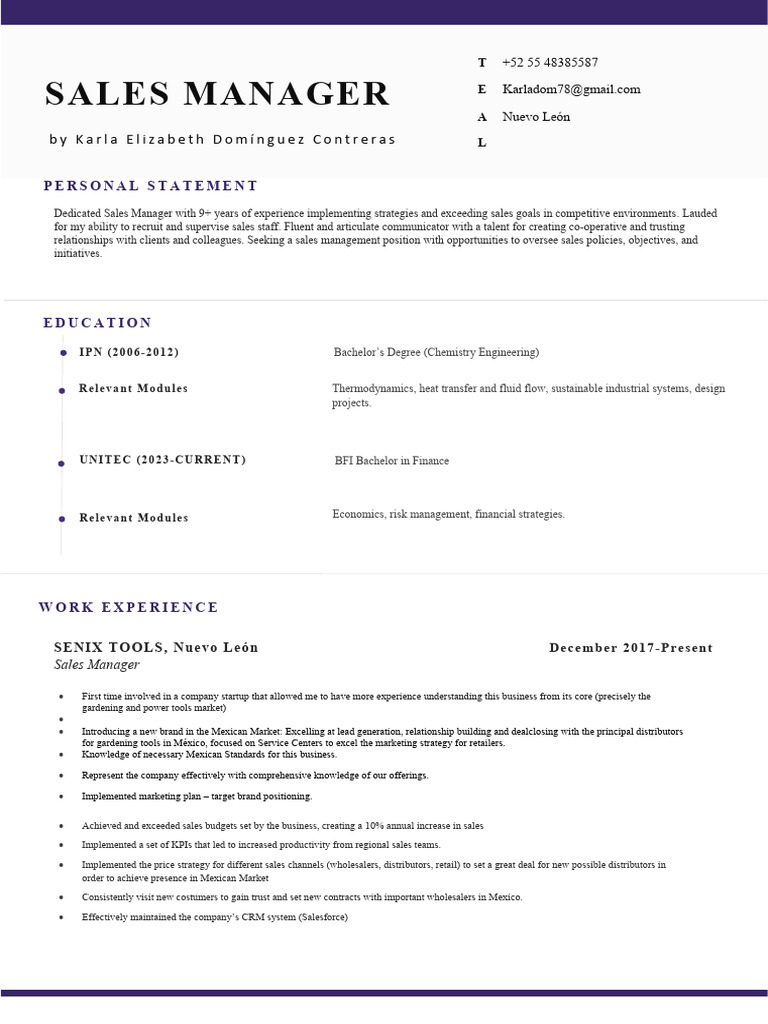 Sales Manager CV Example | PDF
