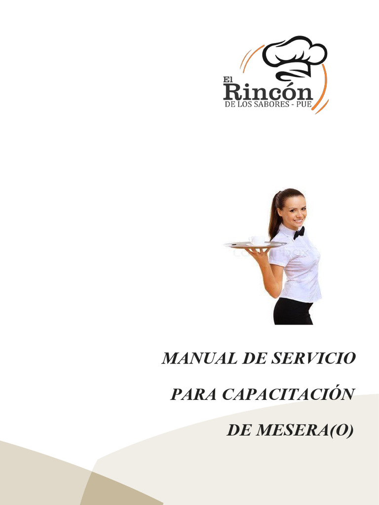 Manual de Servicio | PDF