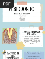 Tabla de Medidas para Dientes Permanentes | PDF | Anatomia dental | Diente