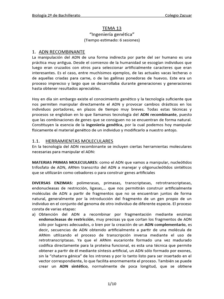 Tema 13 - ESQUEMA CLASE | PDF