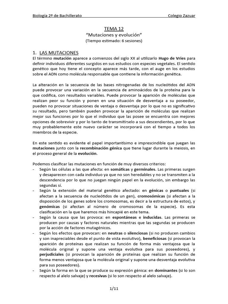 Tema 12 - ESQUEMA CLASE | PDF