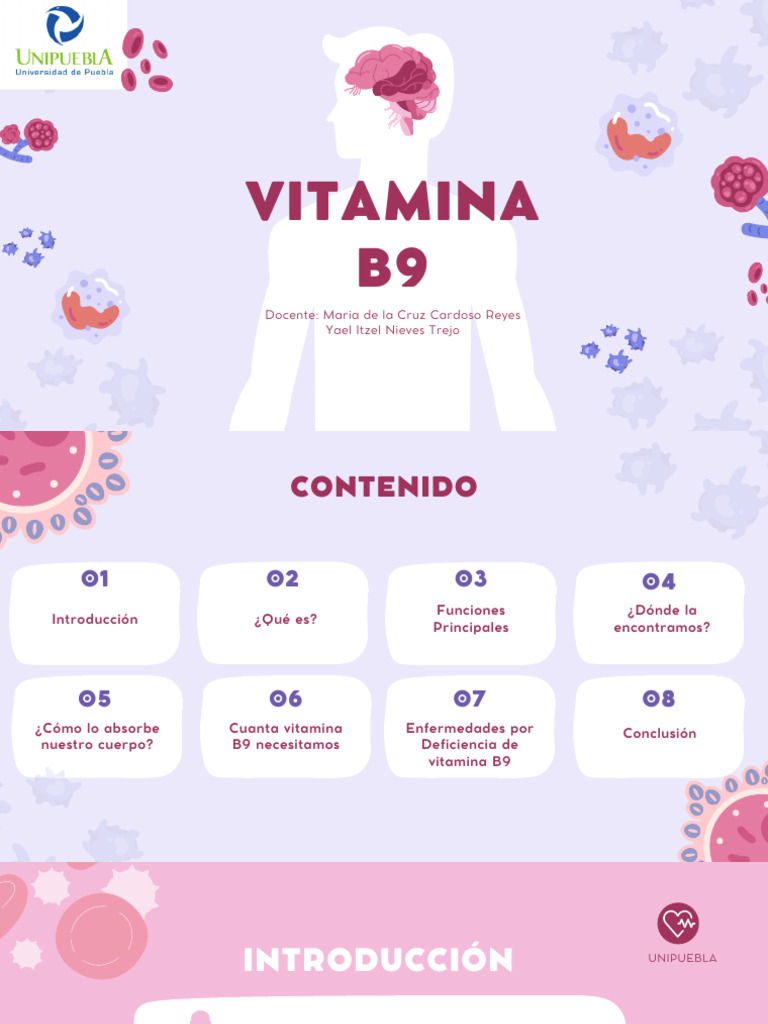 Vitamina B9 | PDF
