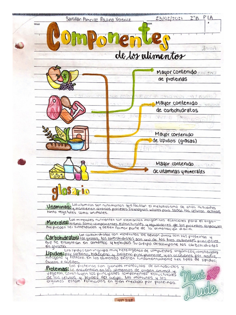 Componentes de Los Alimentos | PDF