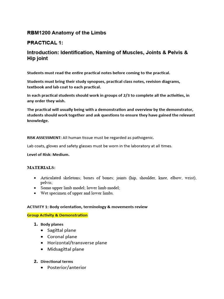RBM1200 Limb Anatomy Laboratory 1-Student | PDF