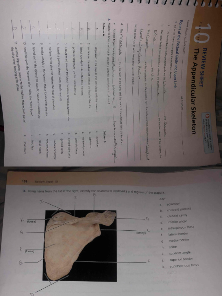 1635997623-pdf File 01 | PDF