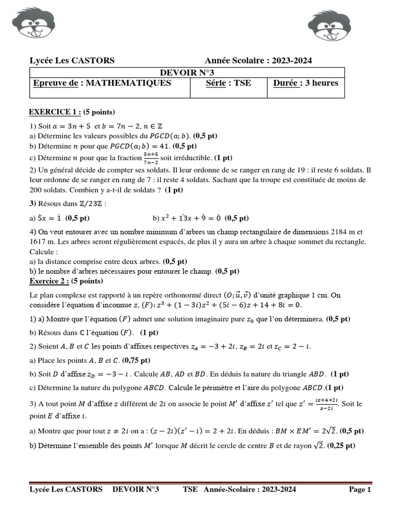2023-2024 Devoir N3 TSE L. CASTORS | PDF