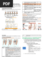 Mano de Predicador | PDF | Mano | Anatomía humana