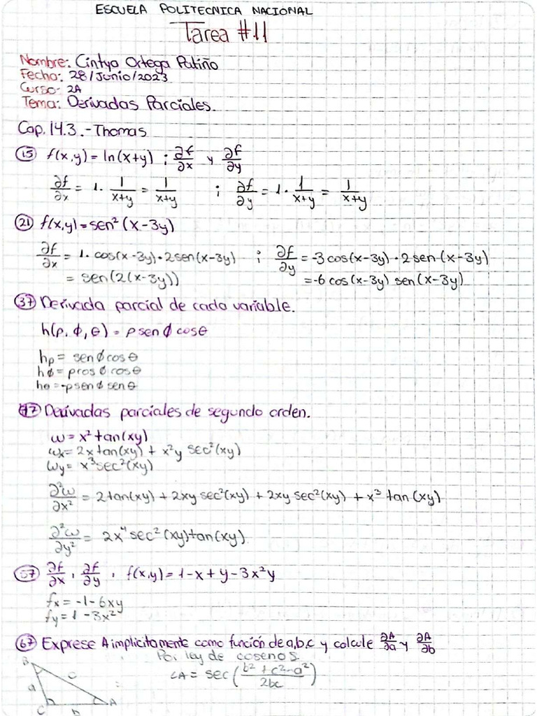 Deber 11 - Ortega Patiño - Derivacion Parcial | PDF