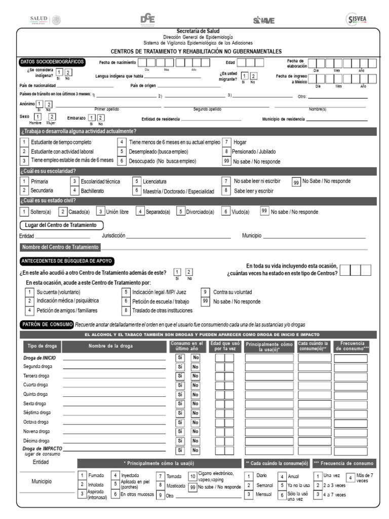 Formato Sisvea | PDF