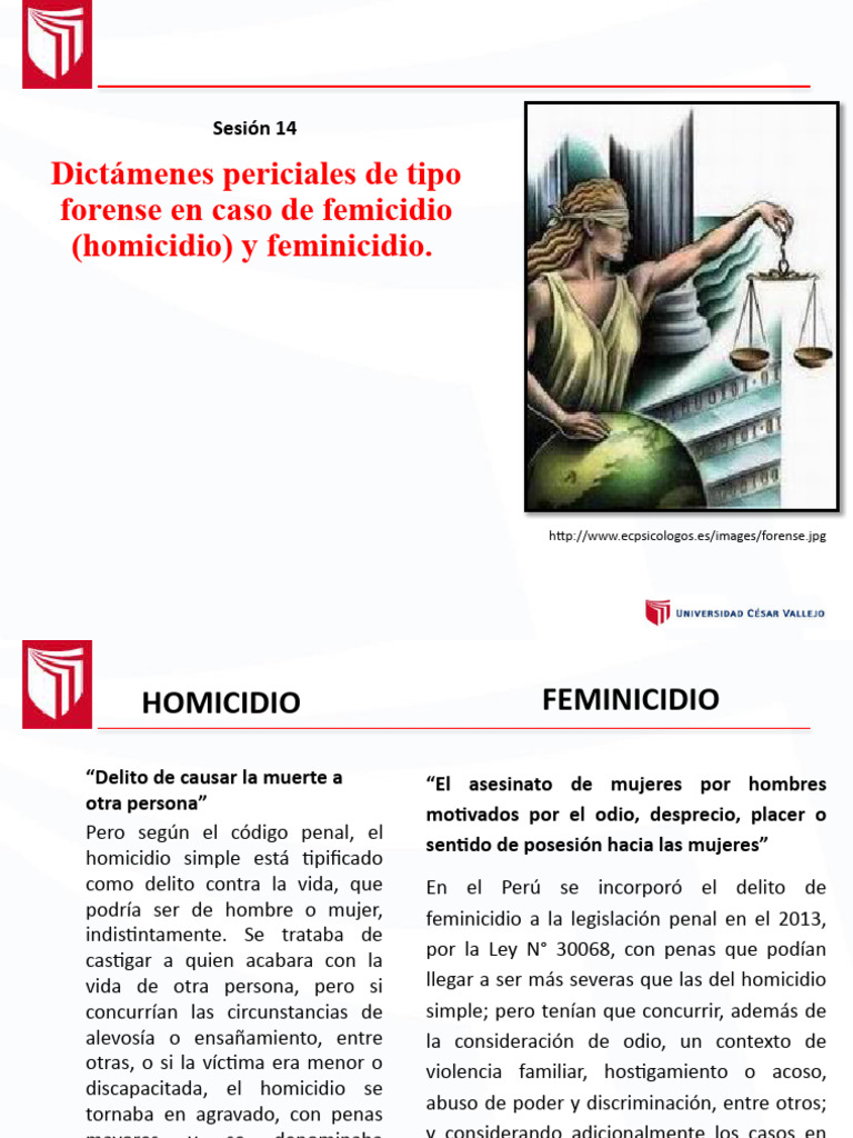 Anexo Sesion 14 Feminicidio | PDF