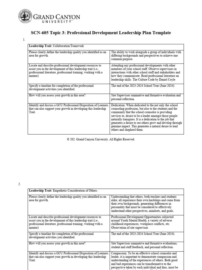 Professional Development Leadership Plan | PDF | Leadership | Mentorship