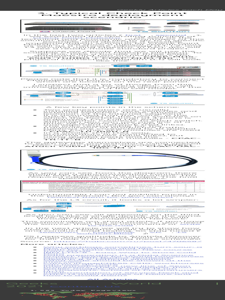 Typical Check Point Maestro Deployment Scenario | PDF