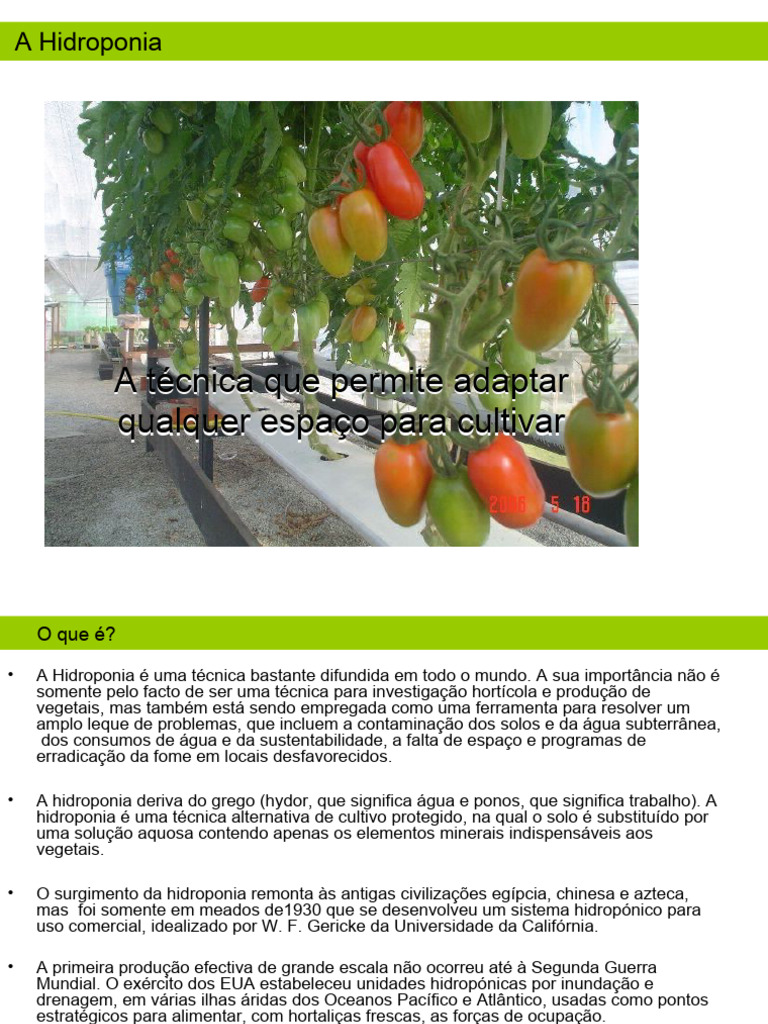 Hidroponia | PDF
