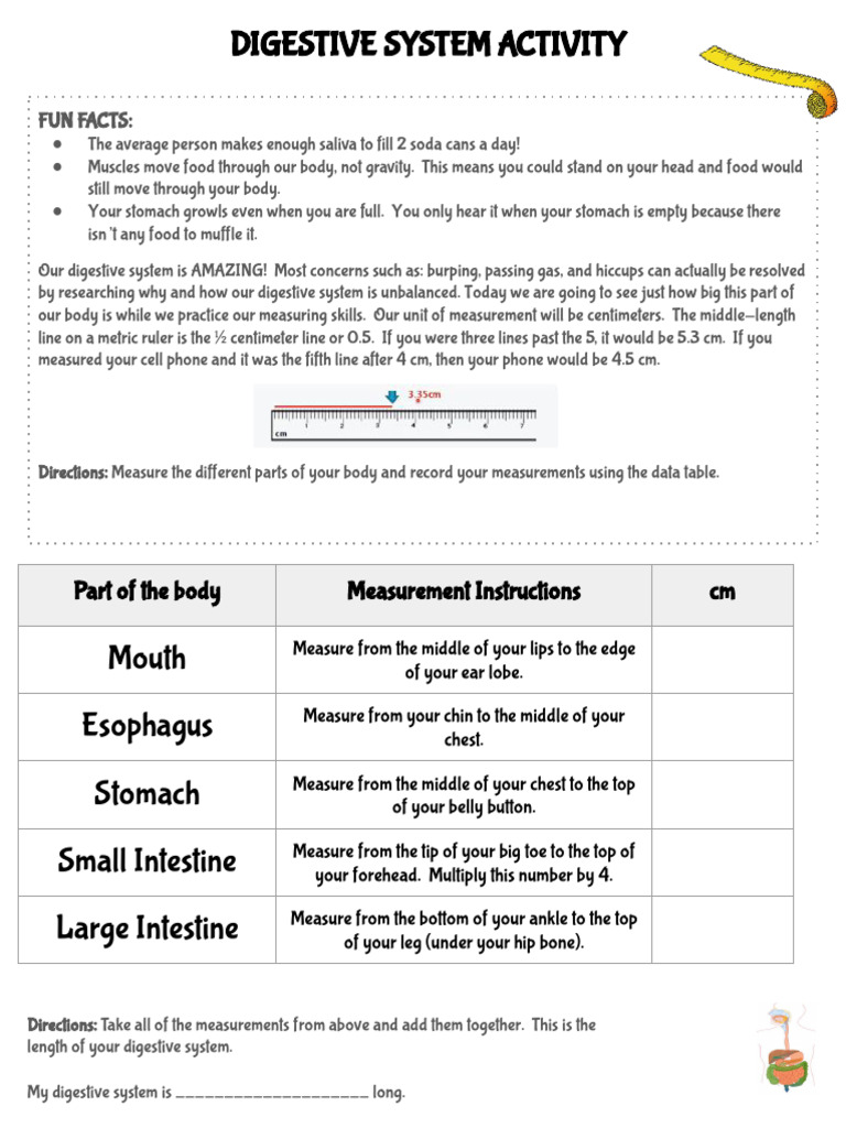 Digestive System Activity: Part of The Body Measurement Instructions CM ...