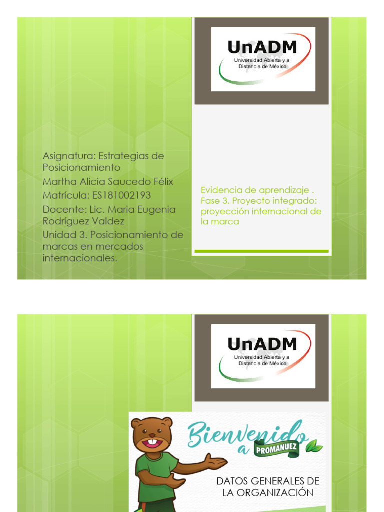 Iesp U3 Ea Masf | PDF