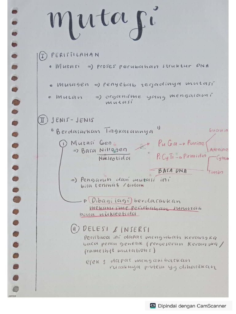 Mutasi Biologi | PDF