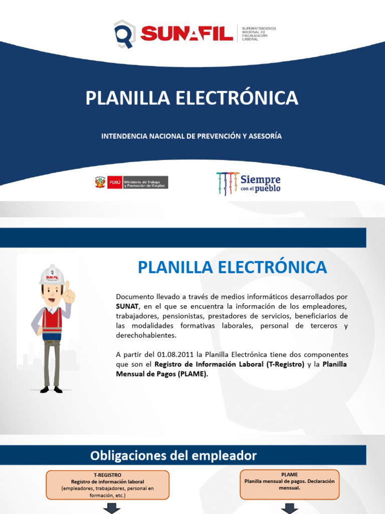 Planilla Electronica 2022 | PDF