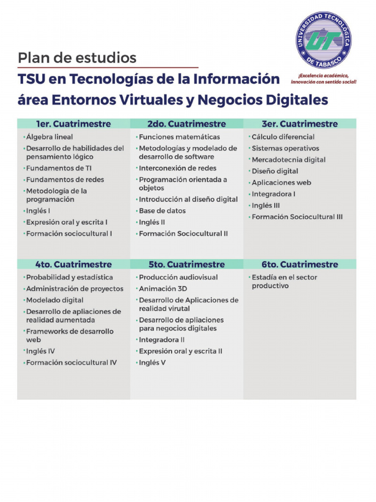 TSU en Tecnologias de La Informacion Area Entornos Virtuales y Negocios Digitales | PDF