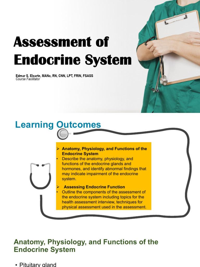 Anatomy Assessment ENDO | PDF