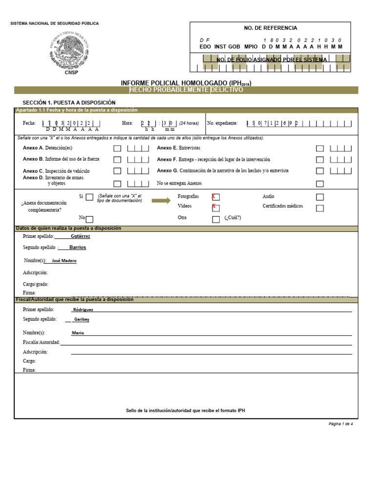 Iph Delitos Pdf Queja Gobierno