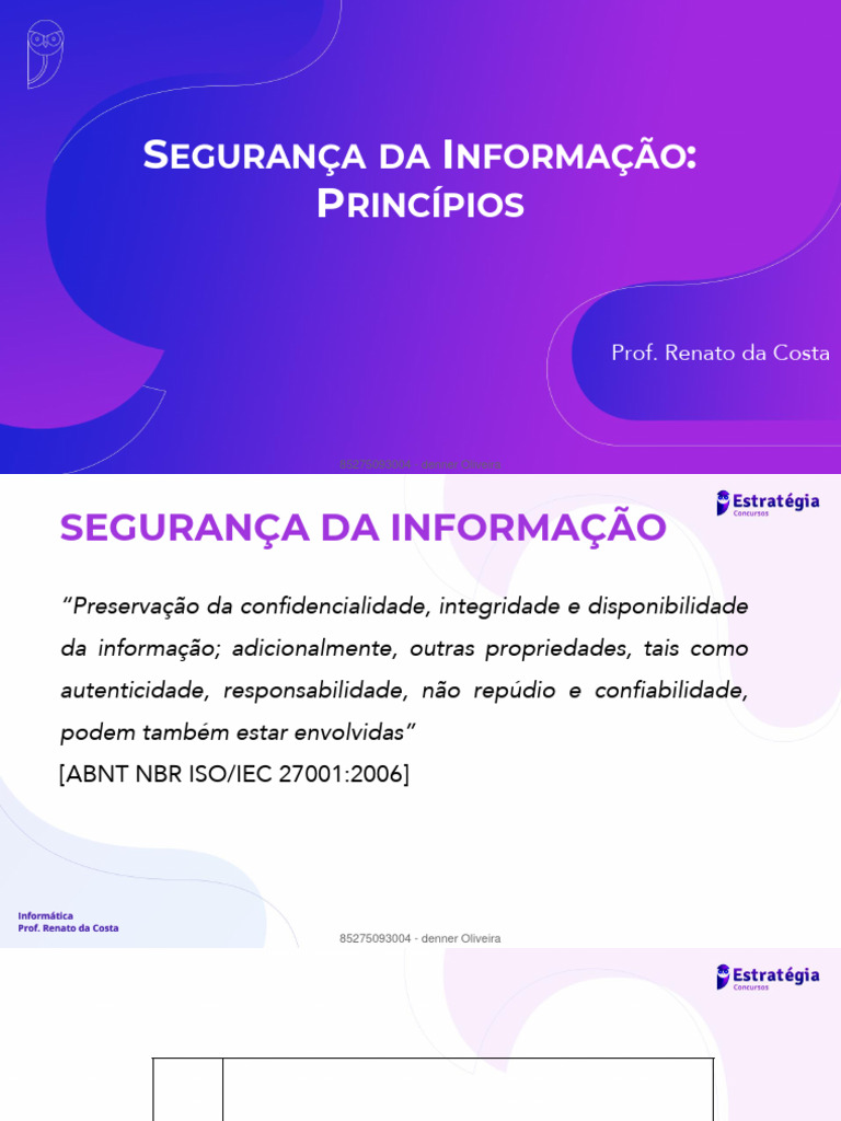 1 Principios Seg | PDF