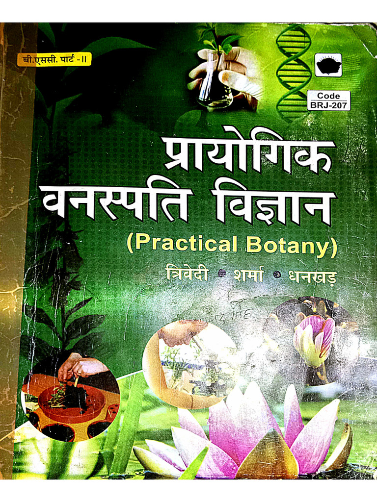 ??botany Partical File ? Work ?? | PDF