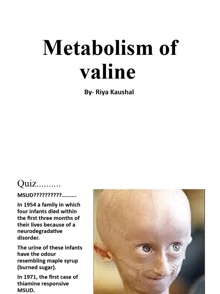 Valine PPT Biochemistry | PDF | Cooking, Food & Wine | Wellness