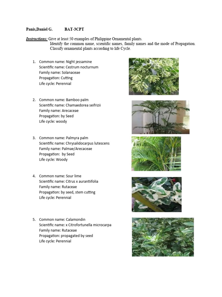 Ornamental Plants | PDF