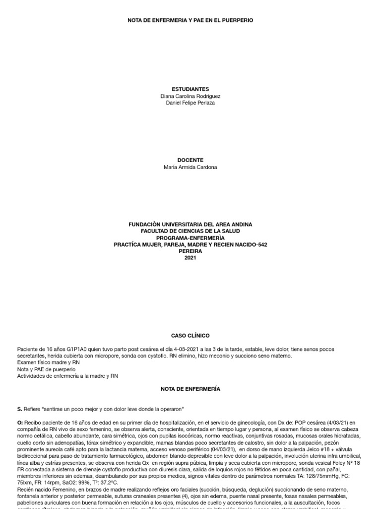 nota-de-enfermeria-y-pae-en-el-puerperio-pdf