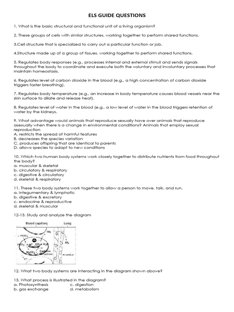 Els Guide Questions | PDF | Human Body | Organisms