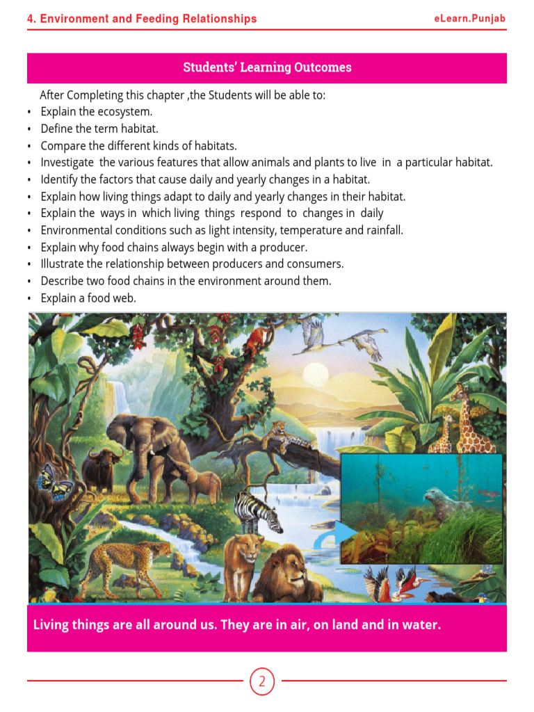 Sciencechapter 4 | PDF