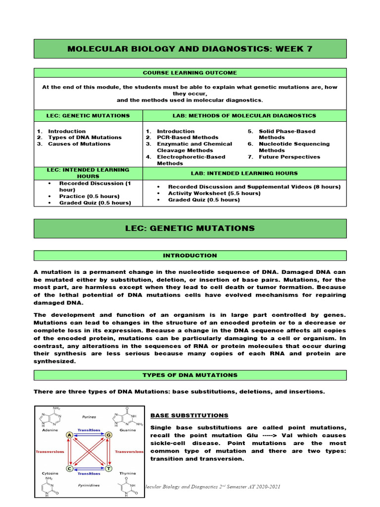 MBD M6 Compiled Notes | PDF
