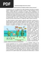 Reacción Hill | PDF | Fotosíntesis | Metabolismo