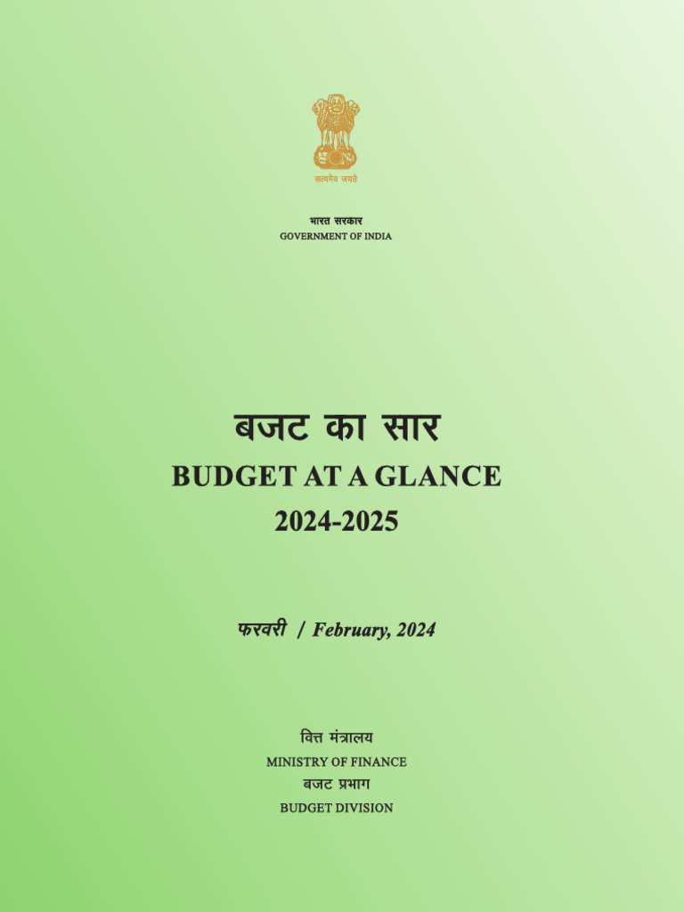 Budget at A Glance 2024 | PDF