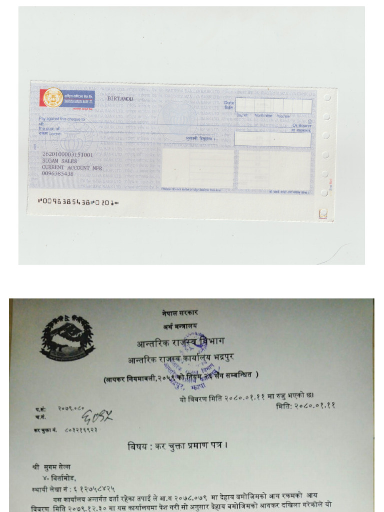 Cheque Pdf