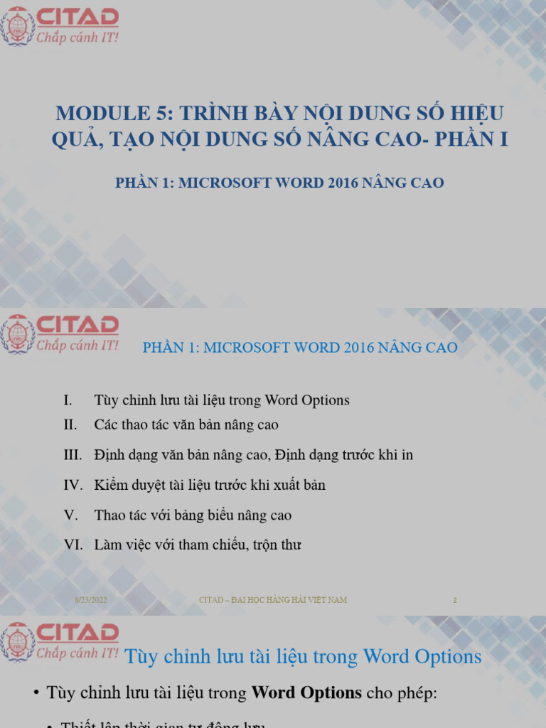 MODULE 5 PHẦN I - TRÌNH BÀY DỮ LIỆU SỐ NÂNG CAO 23.8.22 | PDF