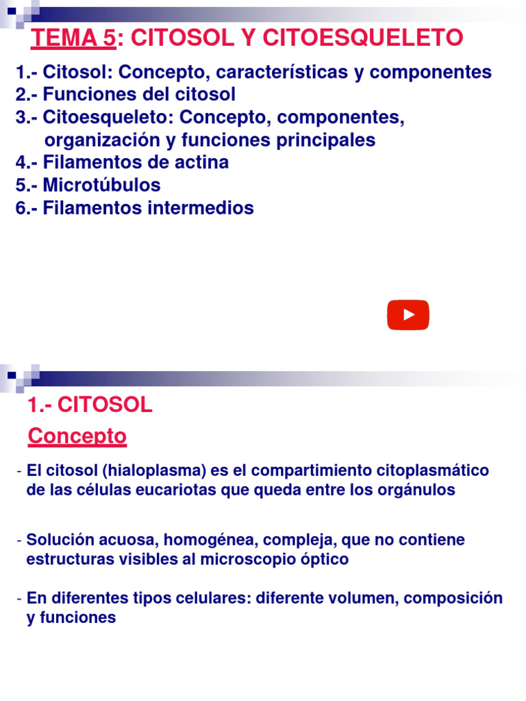 5 - Citosol y Citoesqueleto - Actina | PDF