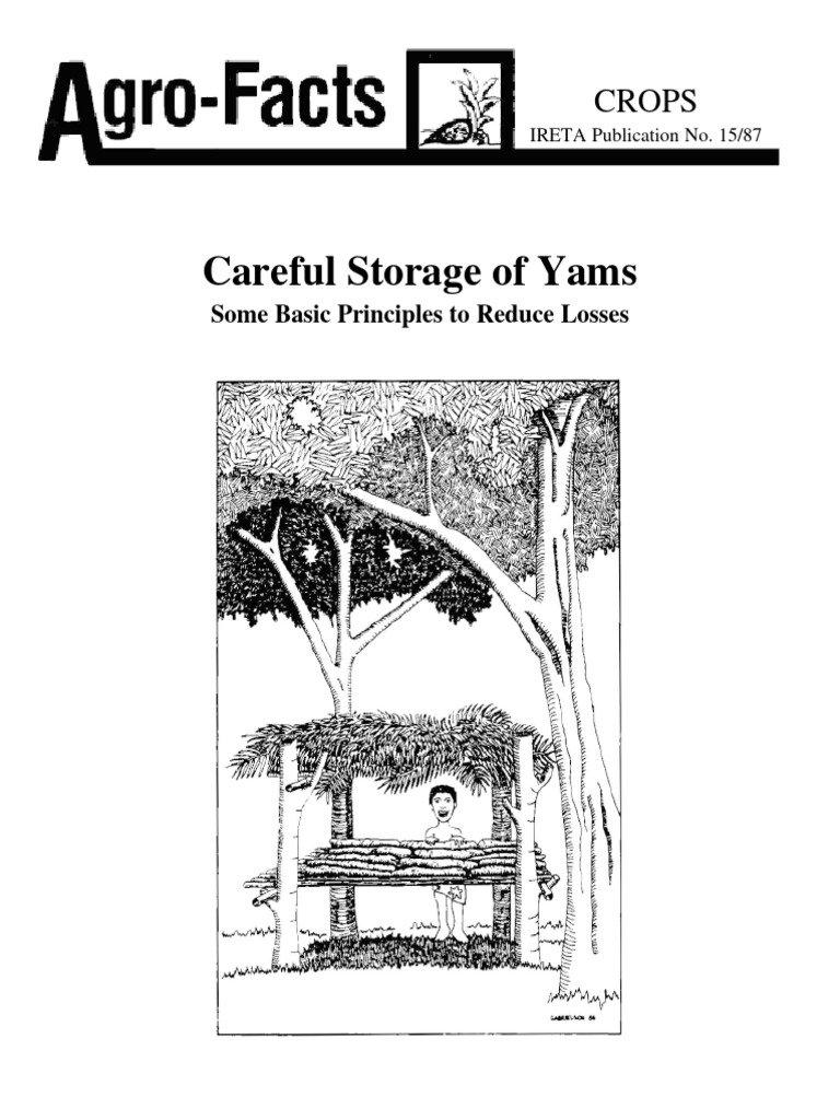 Effective Yam Storage Techniques | PDF | Technology & Engineering