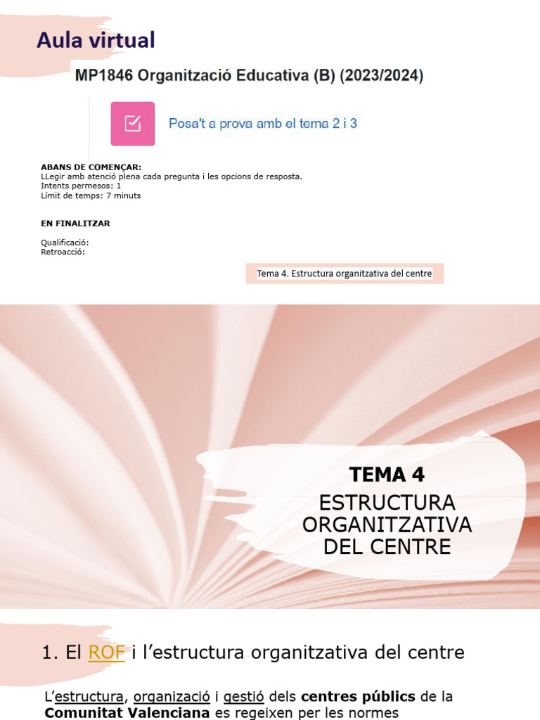 TEMA 4 Estructura Organitzativa Del Centre | PDF