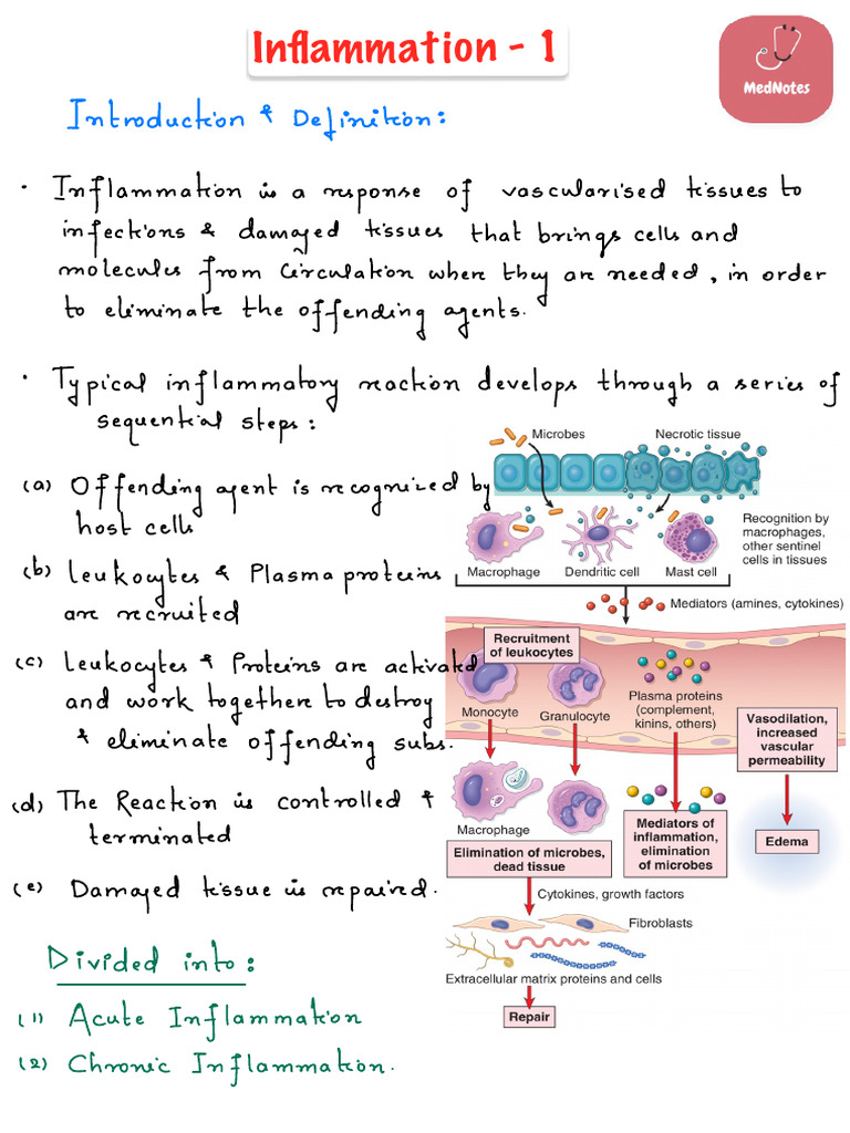 Inflammation Introduction - Acute Inflammation | Download Free PDF ...