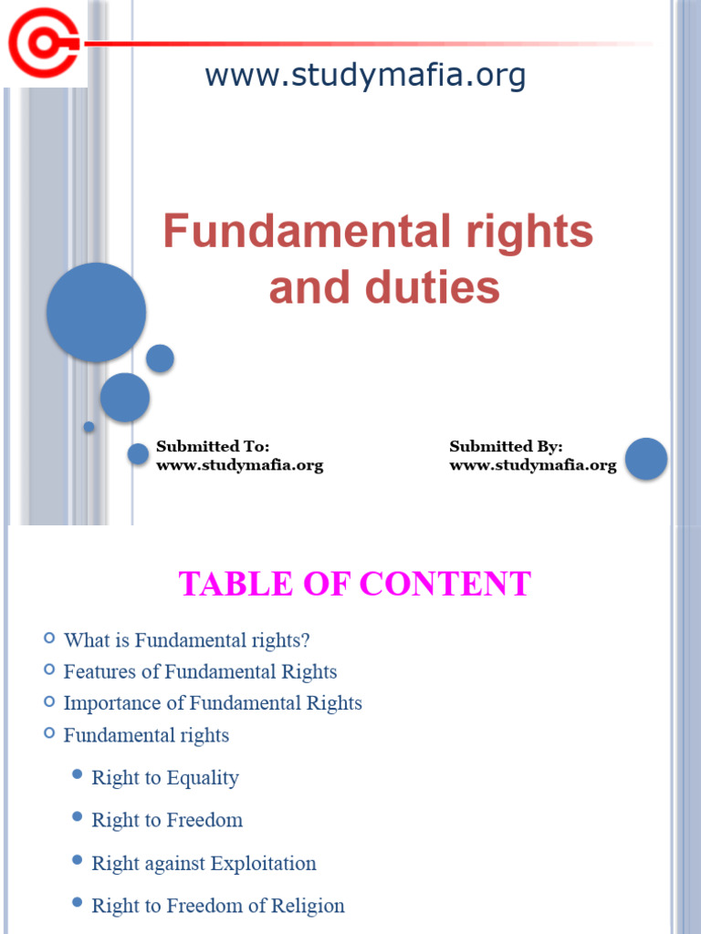 Fundamental Rights | PDF | Government And Personhood | Rights