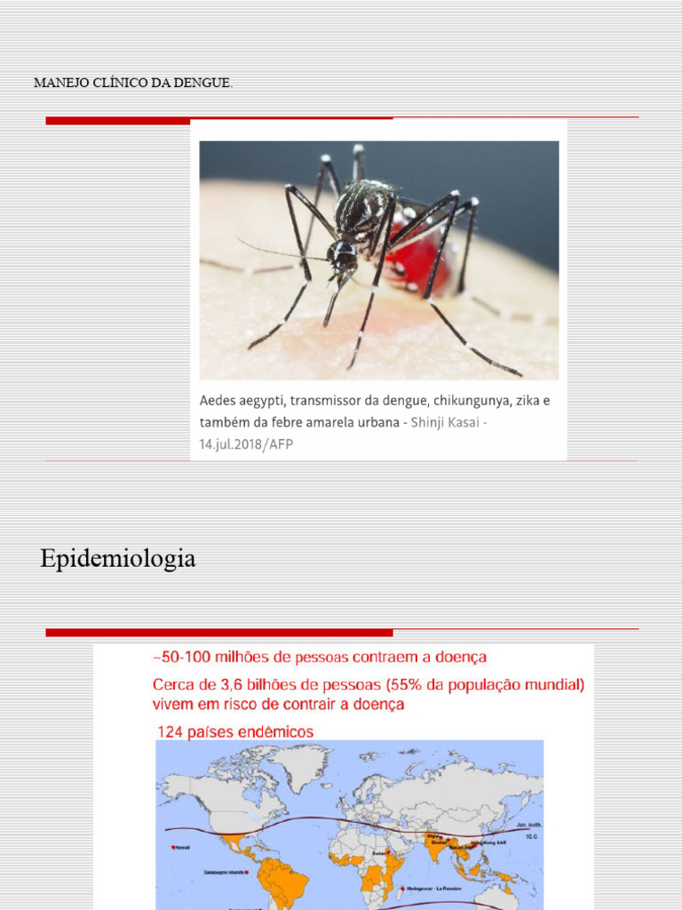 Manejo Clinico Da Dengue 2024 | PDF Manejo Clinico Da Dengue 2024 | PDF
